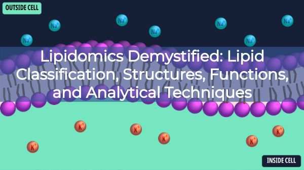 Lipidomics Demystified: Exploring Lipid Classification, Structures, Functions, and Analytical ...