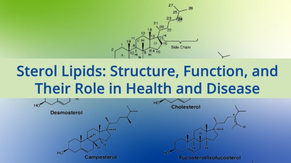 Sterol Lipids: Structure, Function, and Their Role in Health and ...