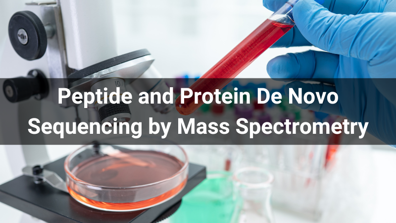 Peptide and Protein De Novo Sequencing by Mass Spectrometry - MetwareBio