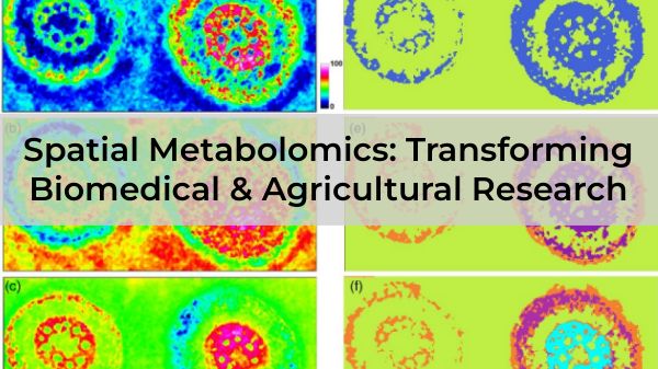 Spatial Metabolomics Transforming Biomedical And Agricultural Research