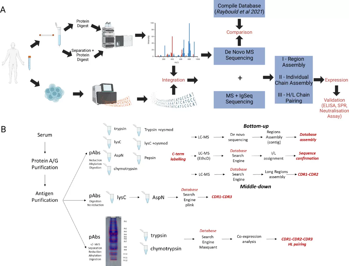 Peptide and Protein De Novo Sequencing by Mass Spectrometry - MetwareBio