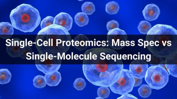 Single-Cell Proteomics: Mass Spec vs Single-Molecule Sequencing - MetwareBio