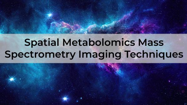 Maldi Desi Or Sims How To Choose The Best Msi Techniques For Spatial Metabolomics Metwarebio