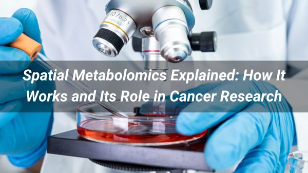 Spatial Metabolomics Explained: How It Works and Its Role in Cancer Research - MetwareBio