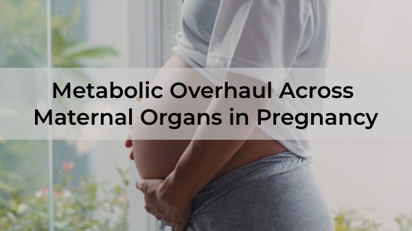 The Miracle of Pregnancy: A Complete Metabolic Overhaul Across Maternal Organs - MetwareBio