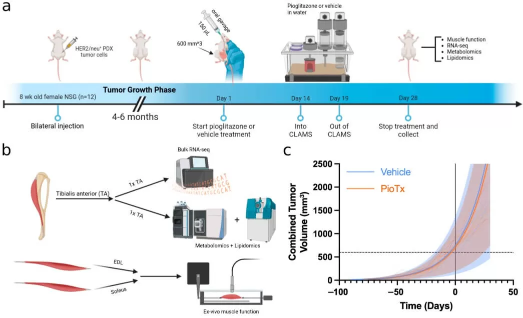 Multi-Omic Insights into Pioglitazone’s Effects on Breast Cancer ...
