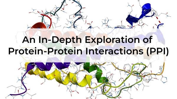 Decoding Life's Molecular Dialogue: An In-Depth Exploration of Protein ...