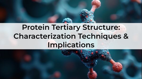 Deciphering Protein Tertiary Structure: Advanced Characterization ...