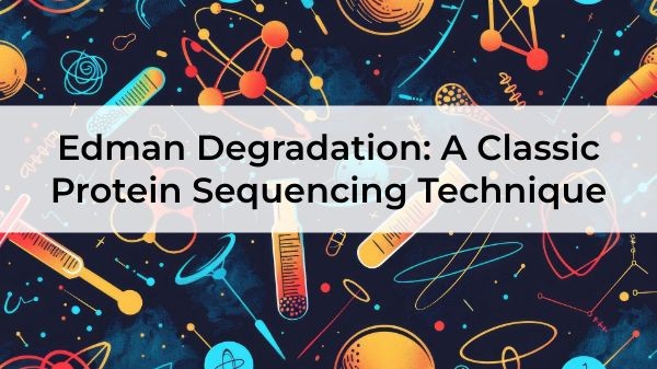 Edman Degradation: A Classic Protein Sequencing Technique - MetwareBio