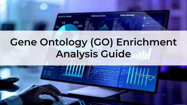 How to Perform Gene Ontology (GO) Enrichment Analysis - MetwareBio