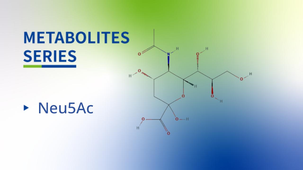 Neu5Ac: The Multifaceted Sugar Shaping Human Health and Beyond - MetwareBio