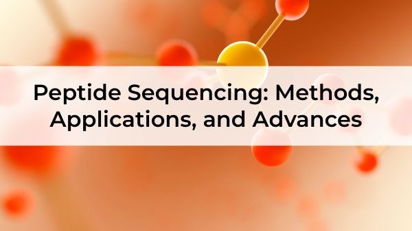 Peptide Sequencing: Methods, Applications, and Advances in Proteomics ...