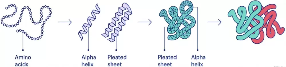 Protein Characterization: Unveiling the Mysteries of Life Molecules ...