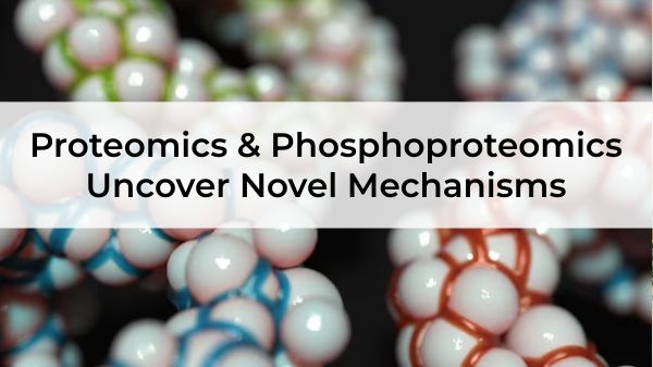 Proteomics and Phosphoproteomics Uncover Novel Mechanisms - MetwareBio