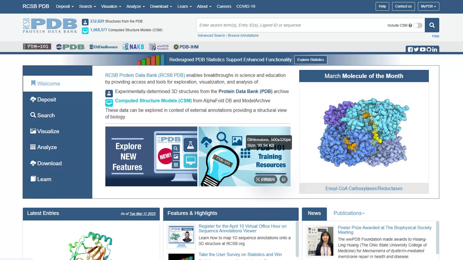 Proteomics Databases: UniProt, PDB, and Other Must Know Resources ...