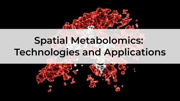 Spatial Metabolomics Maldi Msi Vs Afadesi Msi Key Technologies And Applications Metwarebio