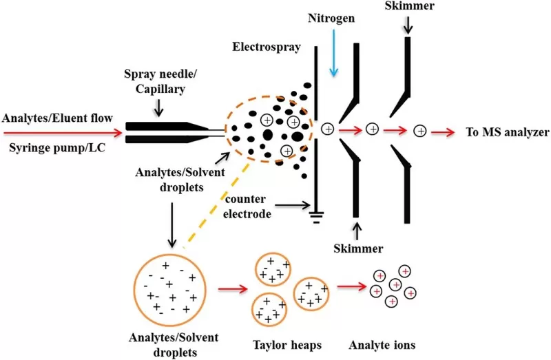 Top 6 Ion Sources in Mass Spectrometry: EI, CI, ESI, APCI, APPI, and ...