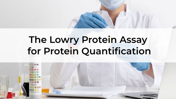 The Lowry Protein Assay: A Time-Tested Method for Protein ...