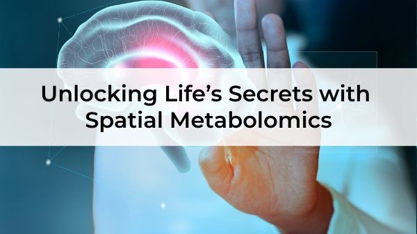 Unlocking Life's Secrets with Spatial Metabolomics: A Revolutionary Lens into Biological ...