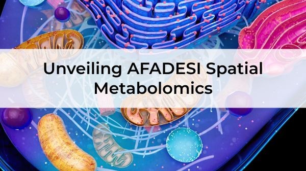 Unveiling AFADESI Spatial Metabolomics - MetwareBio