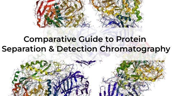 Comparative Guide to Protein Separation and Detection Chromatography ...