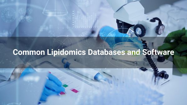 Comprehensive Guide to Common Lipidomics Databases and Software - MetwareBio