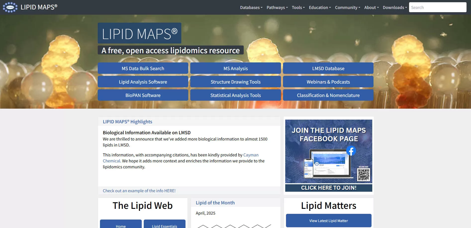 Comprehensive Guide to Common Lipidomics Databases and Software ...