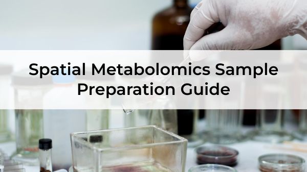 Top Faqs On Spatial Metabolomics Sample Preparation Metwarebio