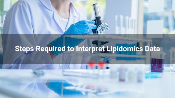 Steps Required to Interpret Lipidomics Data - MetwareBio