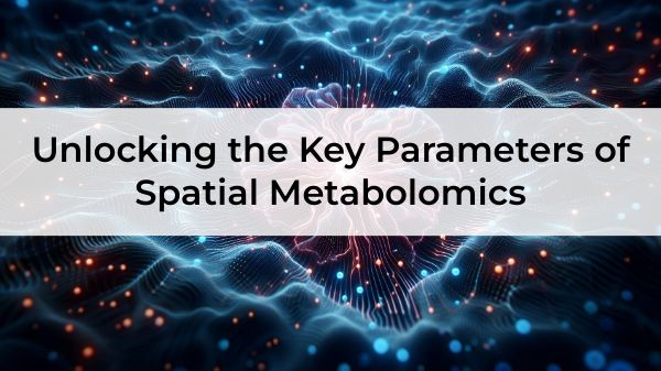 Unlocking The Key Parameters Of Spatial Metabolomics Decoding Precision Metabolic Mapping