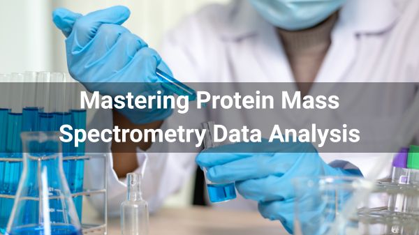 Mastering Protein Mass Spectrometry Data Analysis Guide - MetwareBio