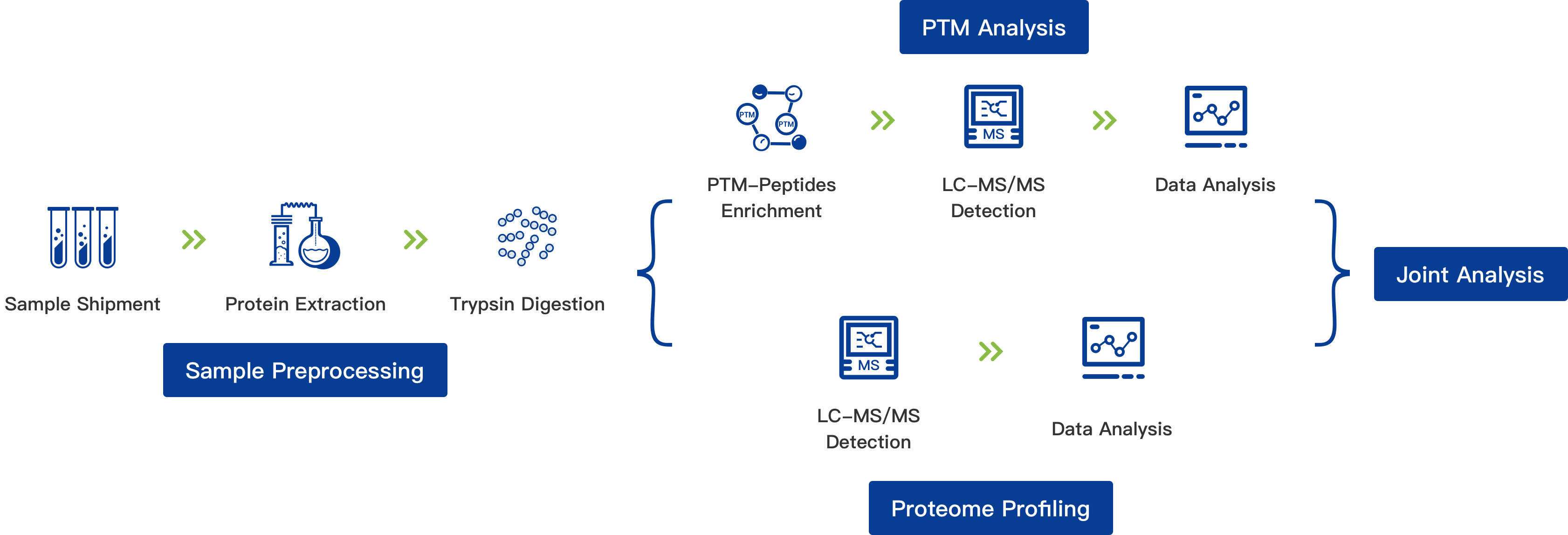MetwareBio Integrated Proteomics and PTM Analysis | 4D LC-MS/MS Services