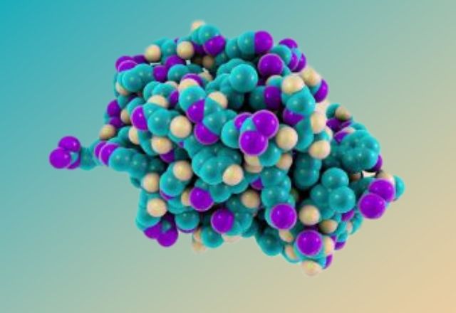 PRM Proteomics Service | Targeted Protein Quantification MetwareBio