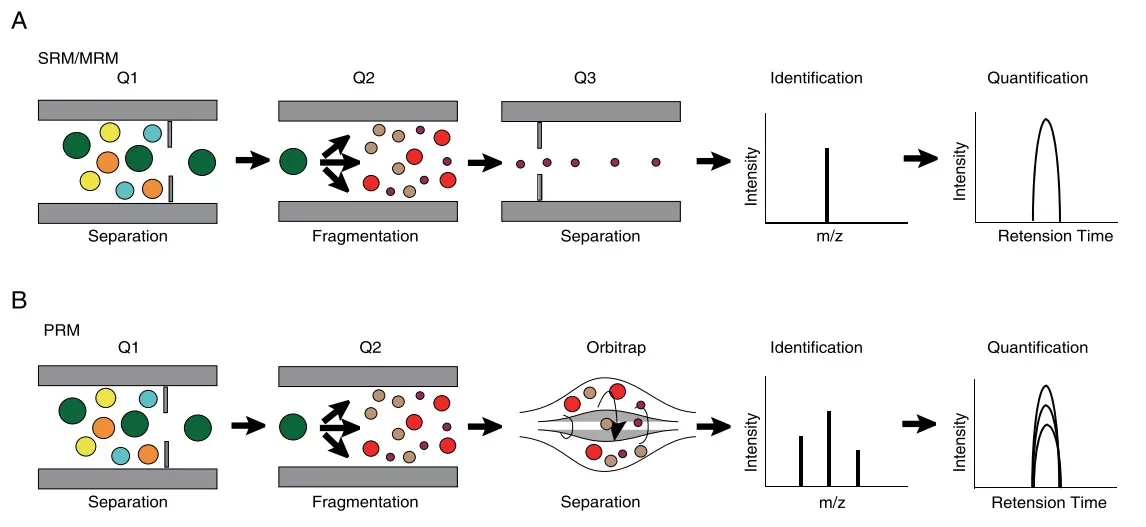 Parallel Reaction Monitoring (PRM) in Mass Spectrometry: A High ...