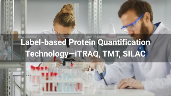 Label-based Proteomics: iTRAQ, TMT, SILAC Explained - MetwareBio