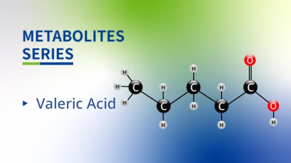 Valeric Acid: A Small Molecule with Big Impacts on Human Health ...