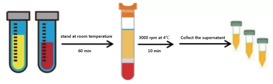 Blood Proteomics: Serum or Plasma – Which Should You Choose? - MetwareBio