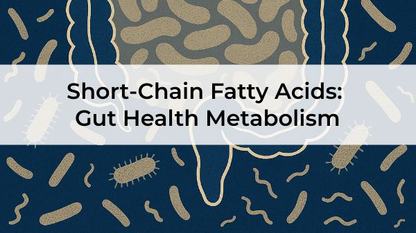 Short-Chain Fatty Acids: Gut Health, Metabolism, and Research ...