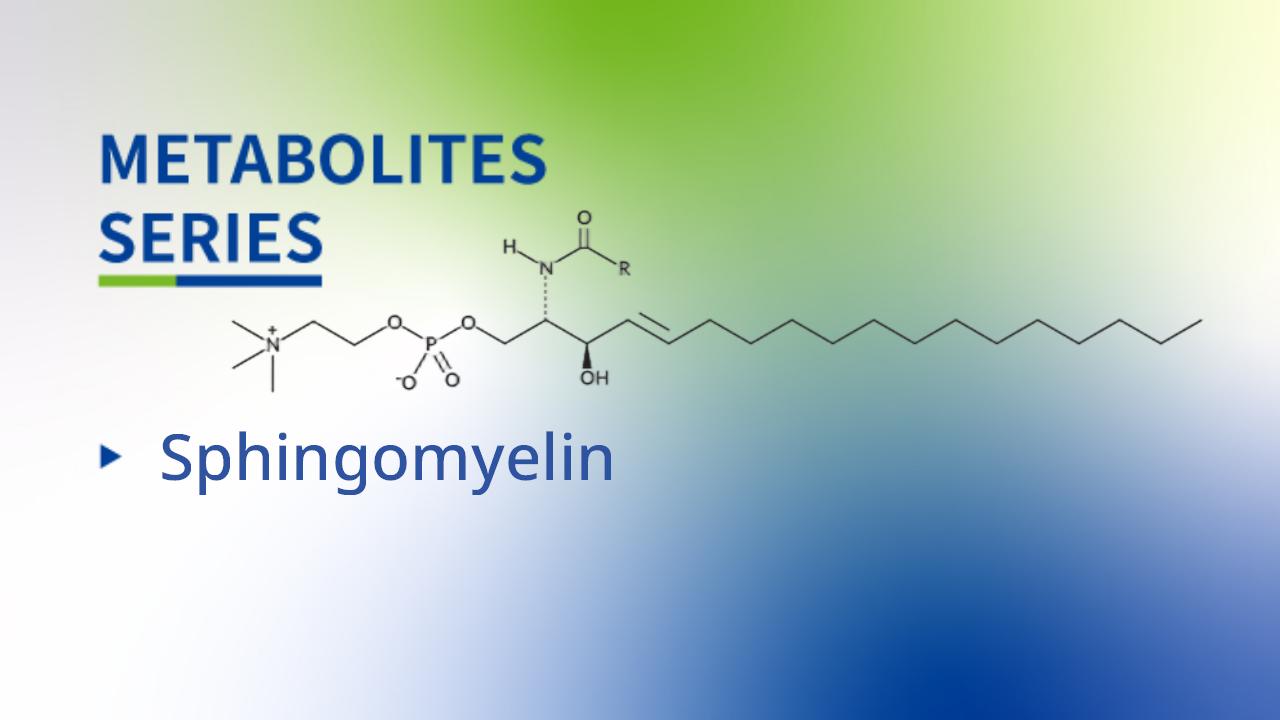 What Is Sphingomyelin? Structure, Metabolism, and Its Role in Human ...