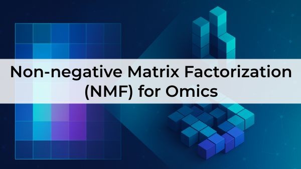 Non-negative Matrix Factorization (NMF) for Omics: A Practical, Interpretable Guide - MetwareBio