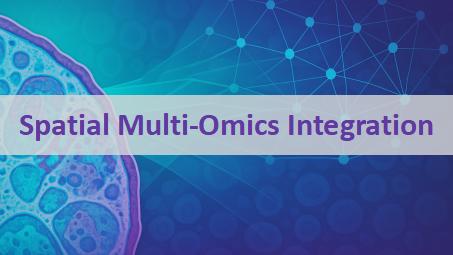 Spatial Multi-Omics Integration: Technologies, Data Fusion and ...