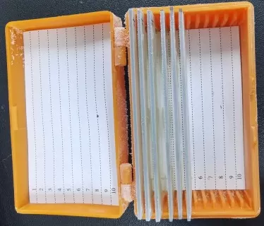 Tissue Sampling, Embedding, Sectioning, Preservation and Transport ...