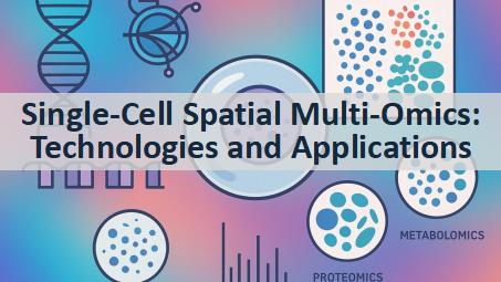 An Overview of Single-Cell Spatial Multi-Omics: Advancing Biological ...