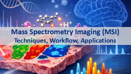 Mass Spectrometry Imaging (MSI): A Comprehensive Guide to Techniques ...