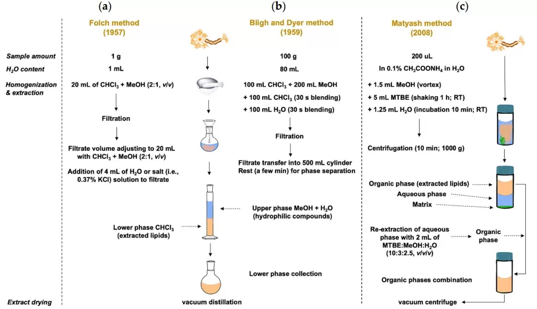MTBE vs. Chloroform–Methanol Lipid Extraction: Which Method Fits Your ...