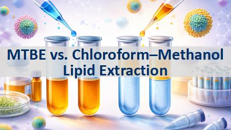 MTBE vs. Chloroform–Methanol Lipid Extraction: Which Method Fits Your ...