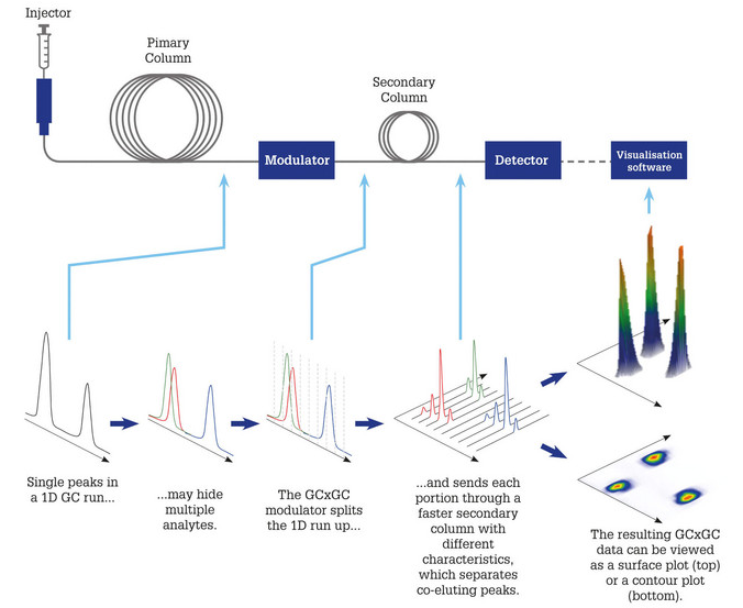 LC-MS VS GC-MS: What's the Difference - Metware Biotechnology Co., Ltd.